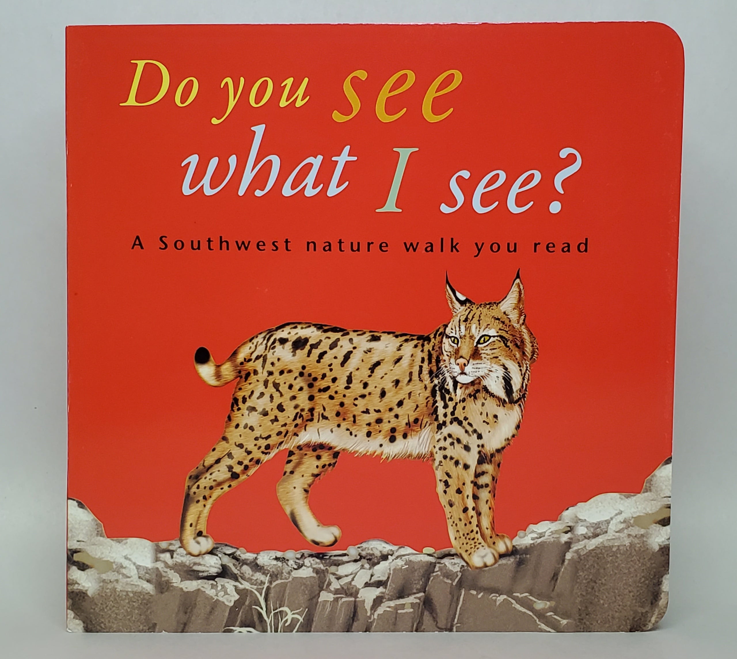 Do You See What I See? | My Site